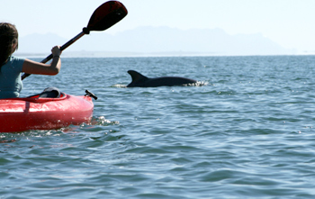 Best Western Hotel Del Rio, Navojoa, Mazatlan - Best Western Hotels in ...